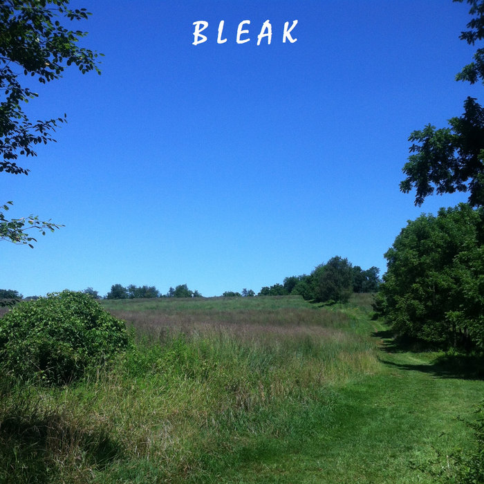 Bleak bleak