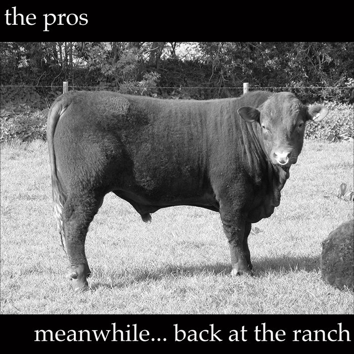 Meanwhile... Back at the Ranch | The Pros
