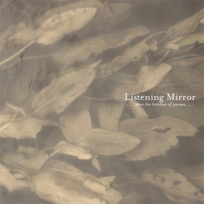 after the briefest of pauses...... | Jeff Stonehouse