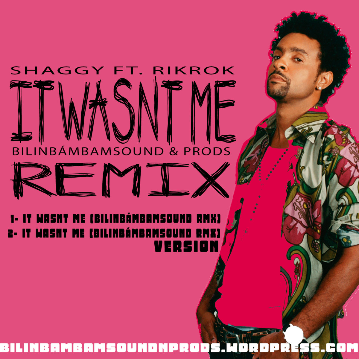 Shaggy It Wasnt Me