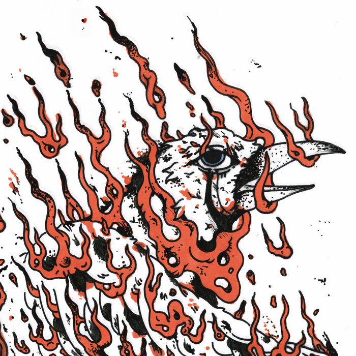 Birds Alight | Ewe Dew