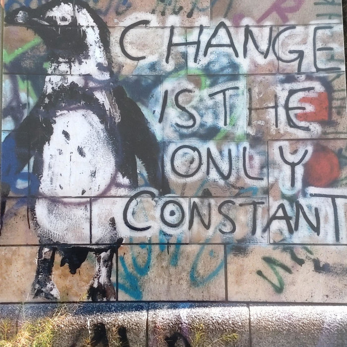 Desire Lines to Nowhere | Jackie Denardo