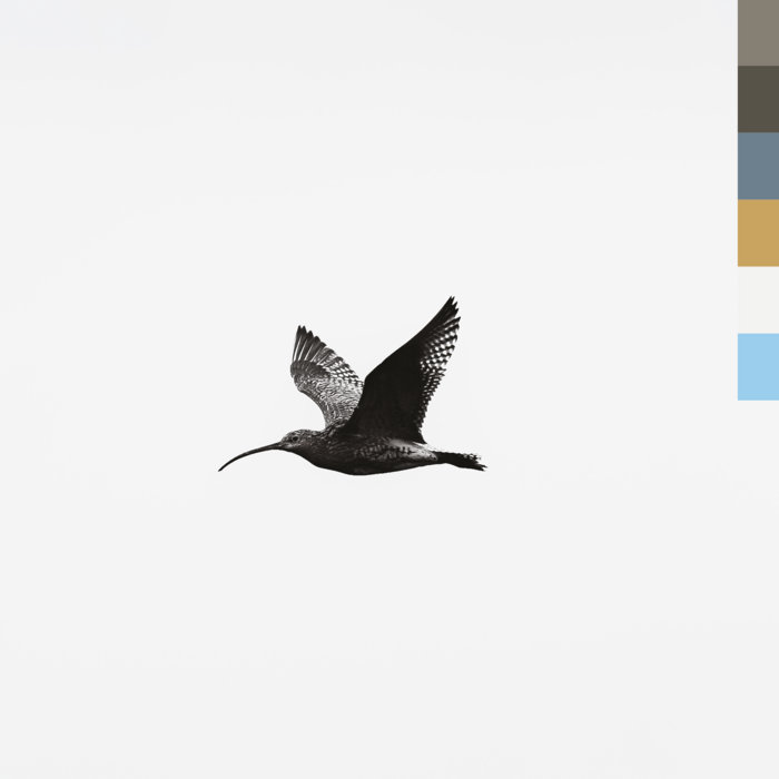 Simmerdim | Merlyn Driver featuring Nathan Riki Thomson | Curlew Sounds