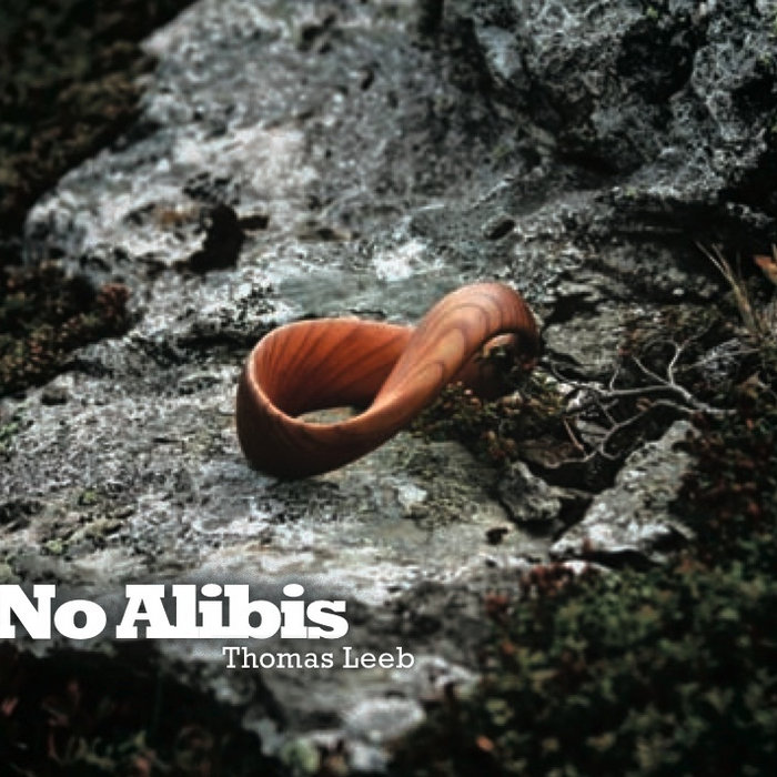 No Alibis | Thomas Leeb