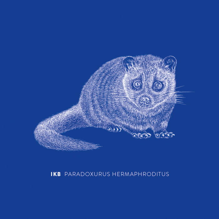 Paradoxurus hermaphroditus | IKB | Ernesto Rodrigues