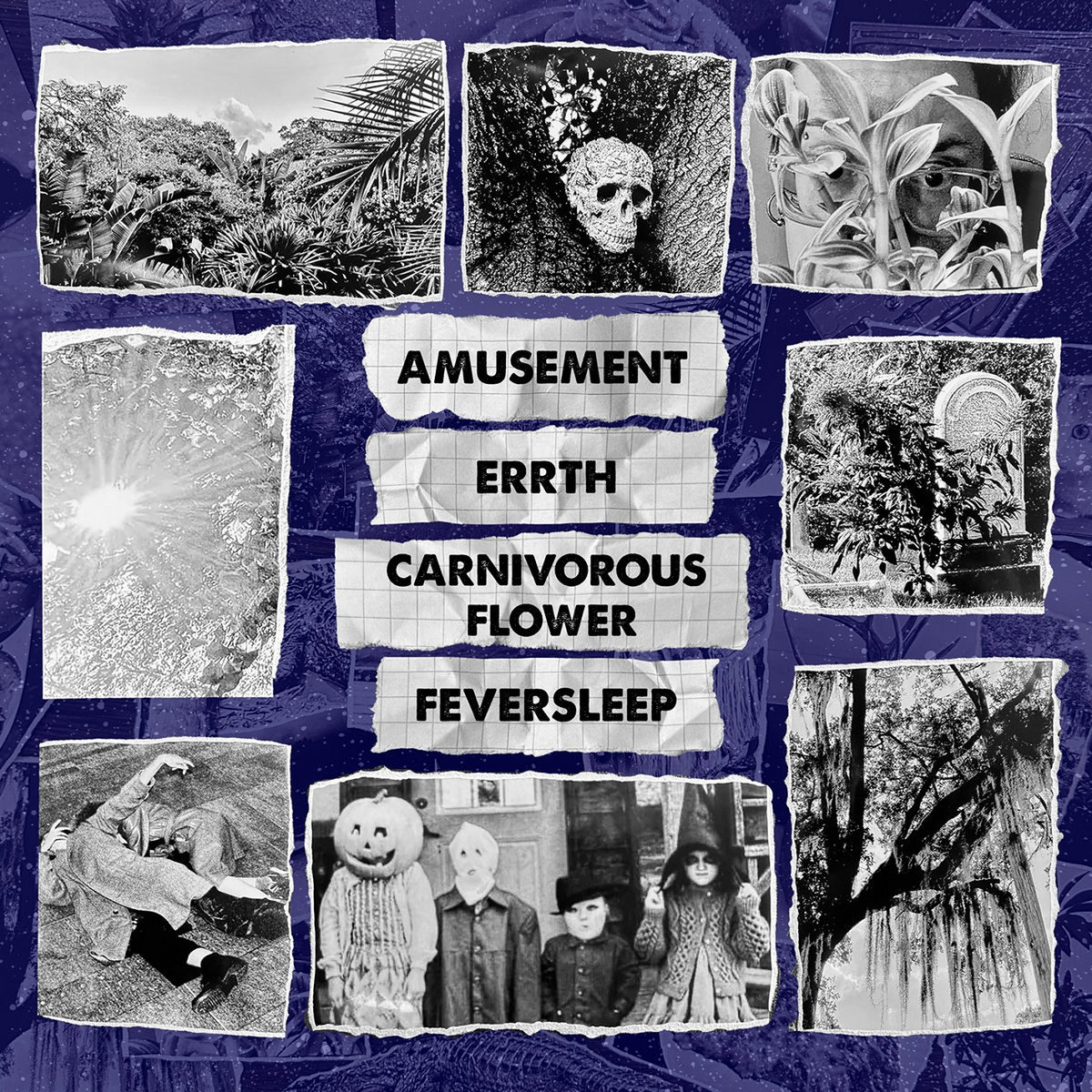 4 way Split | Amusement