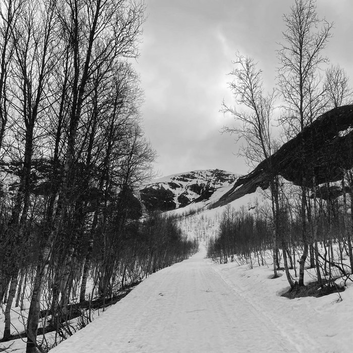 Tromsdalen | Fane