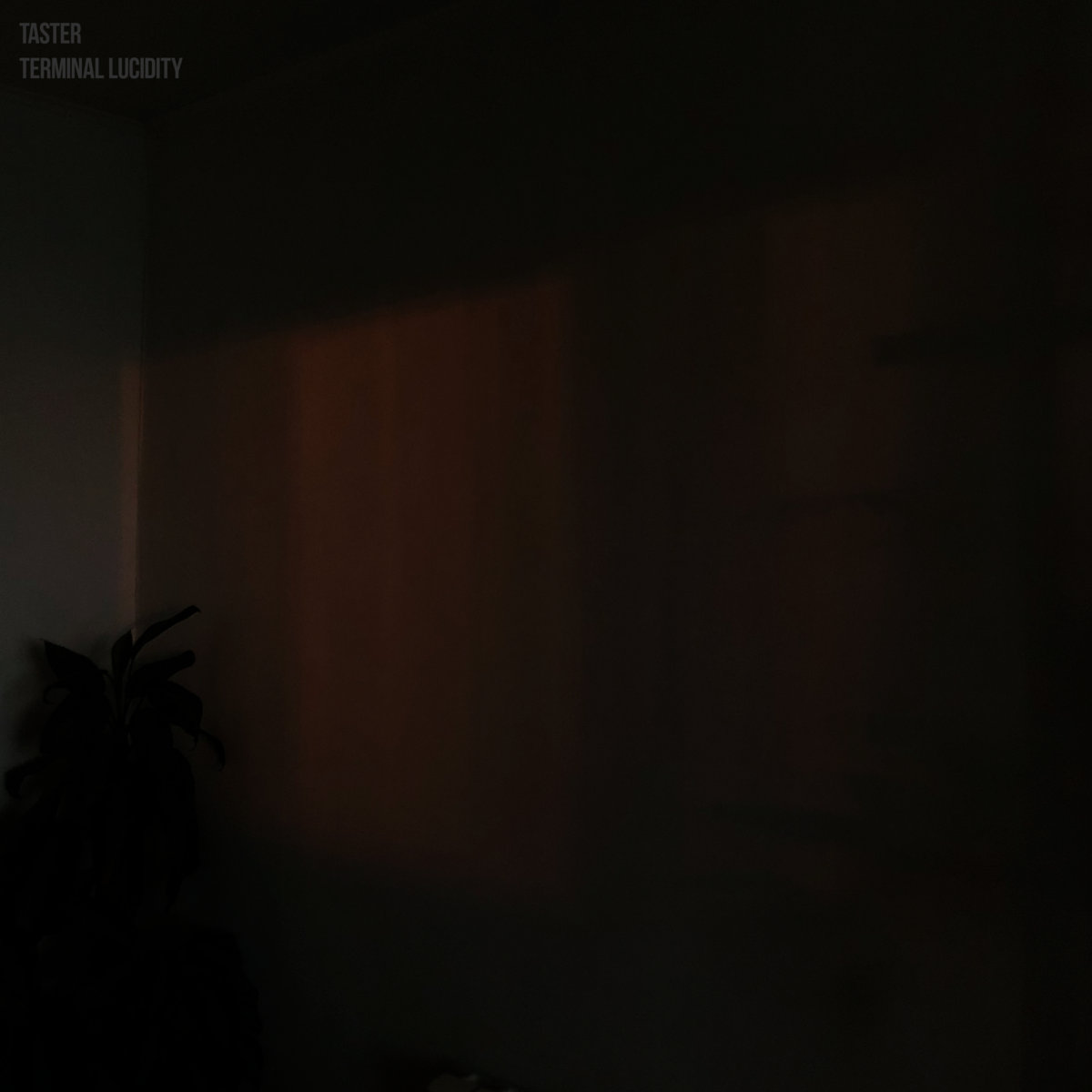Terminal Lucidity | Taster