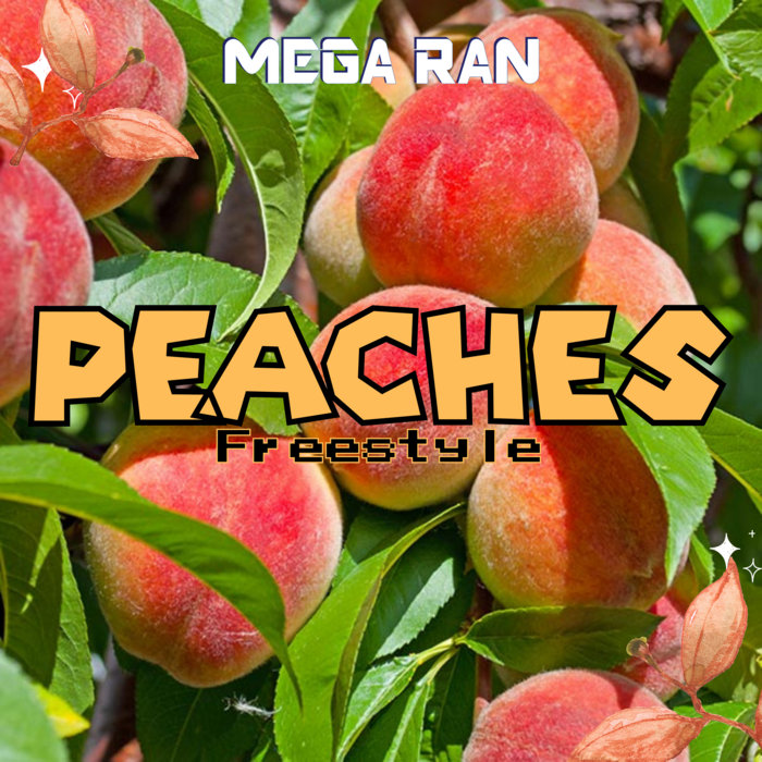 Peaches Freestyle | Mega Ran