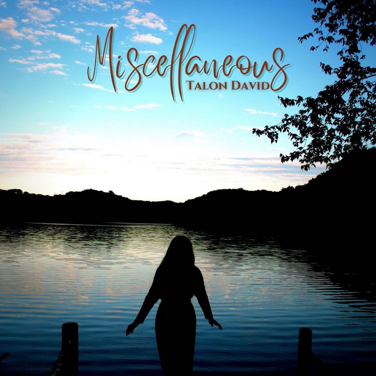 Miscellaneous | Talon David