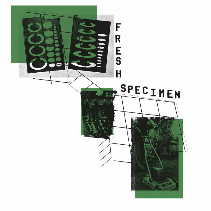 S/T | Fresh Specimen