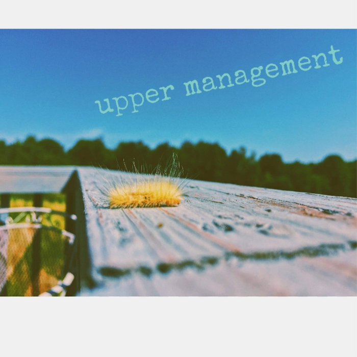 upper management | Upper Management