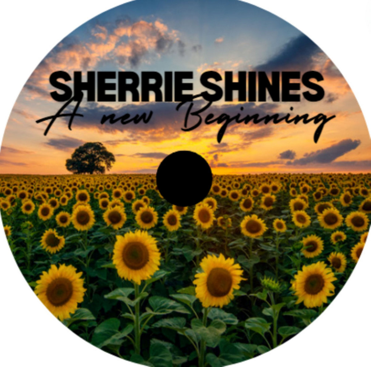 A New Beginning | Sherrie Shines