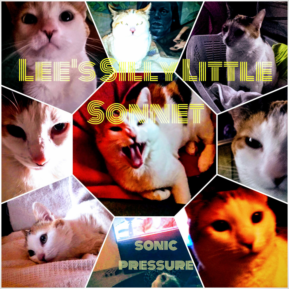 Lee's Silly Little Sonnet (With Words Buzz's Version) | Sonic Pressure