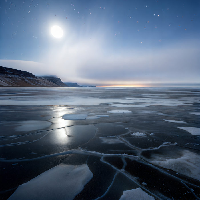 Frozen Whispers | Ambient Bloom Music