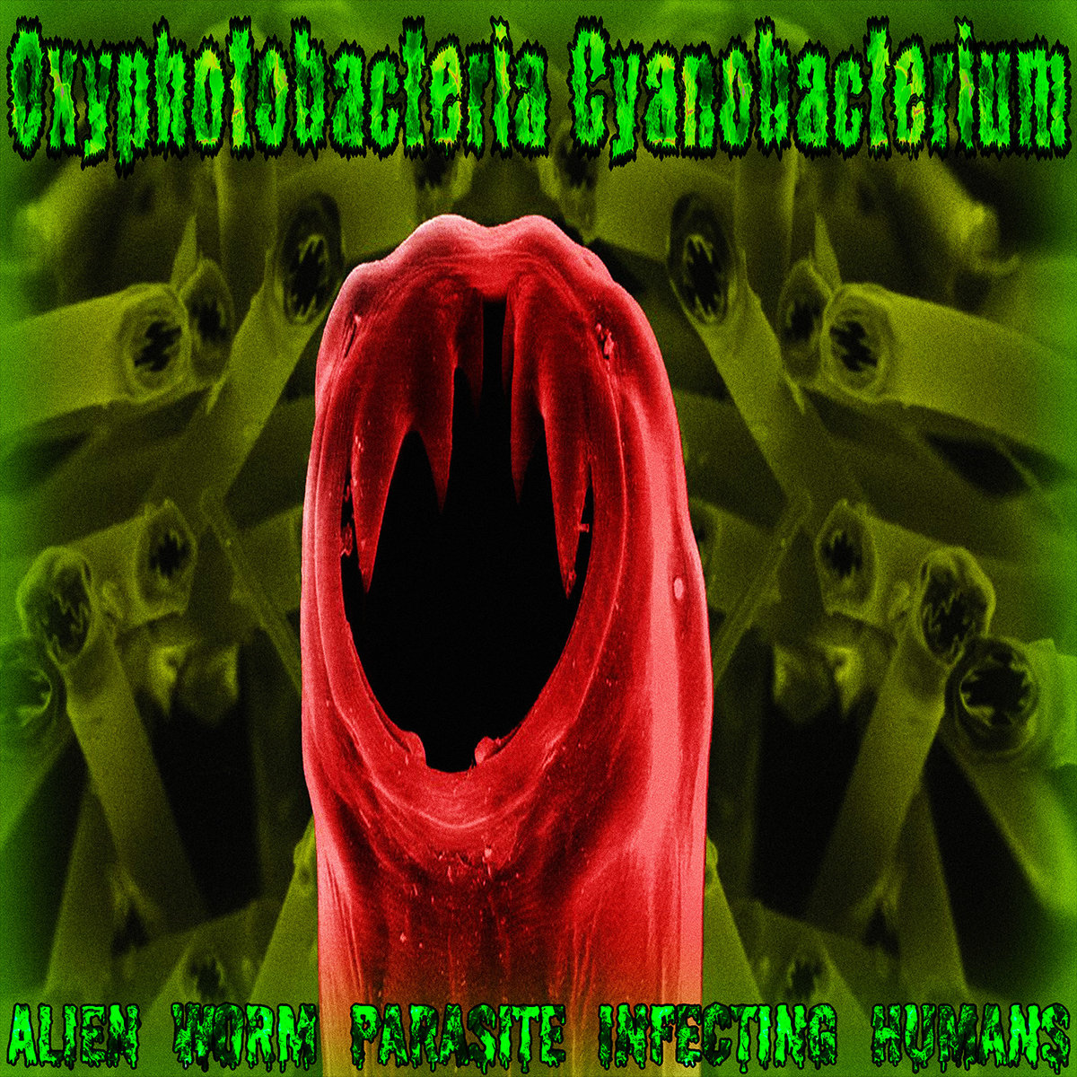 Alien Worm Parasite Infecting Humans | Oxyphotobacteria Cyanobacterium ...