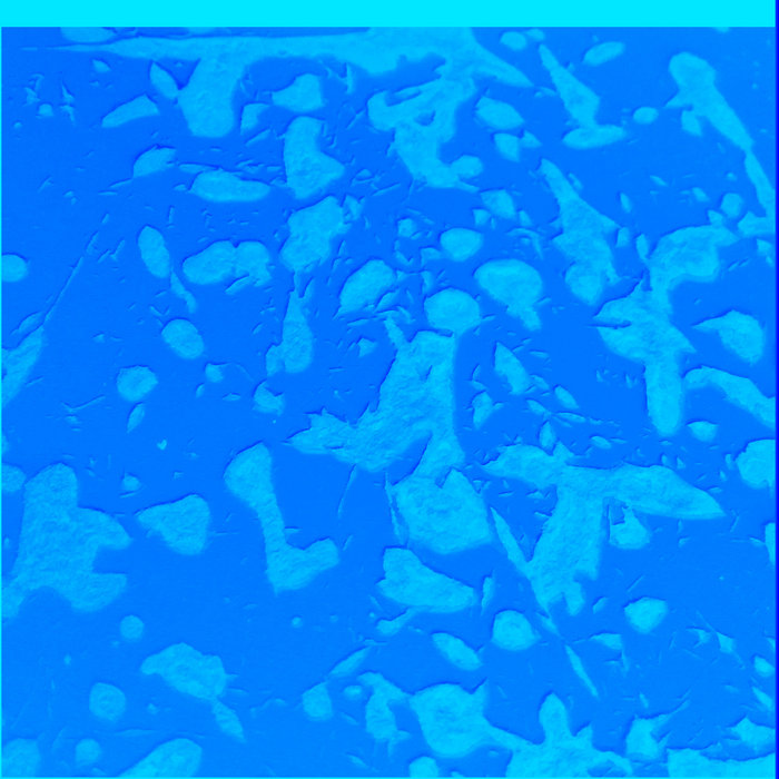 superintendent vol 1 | DNCN