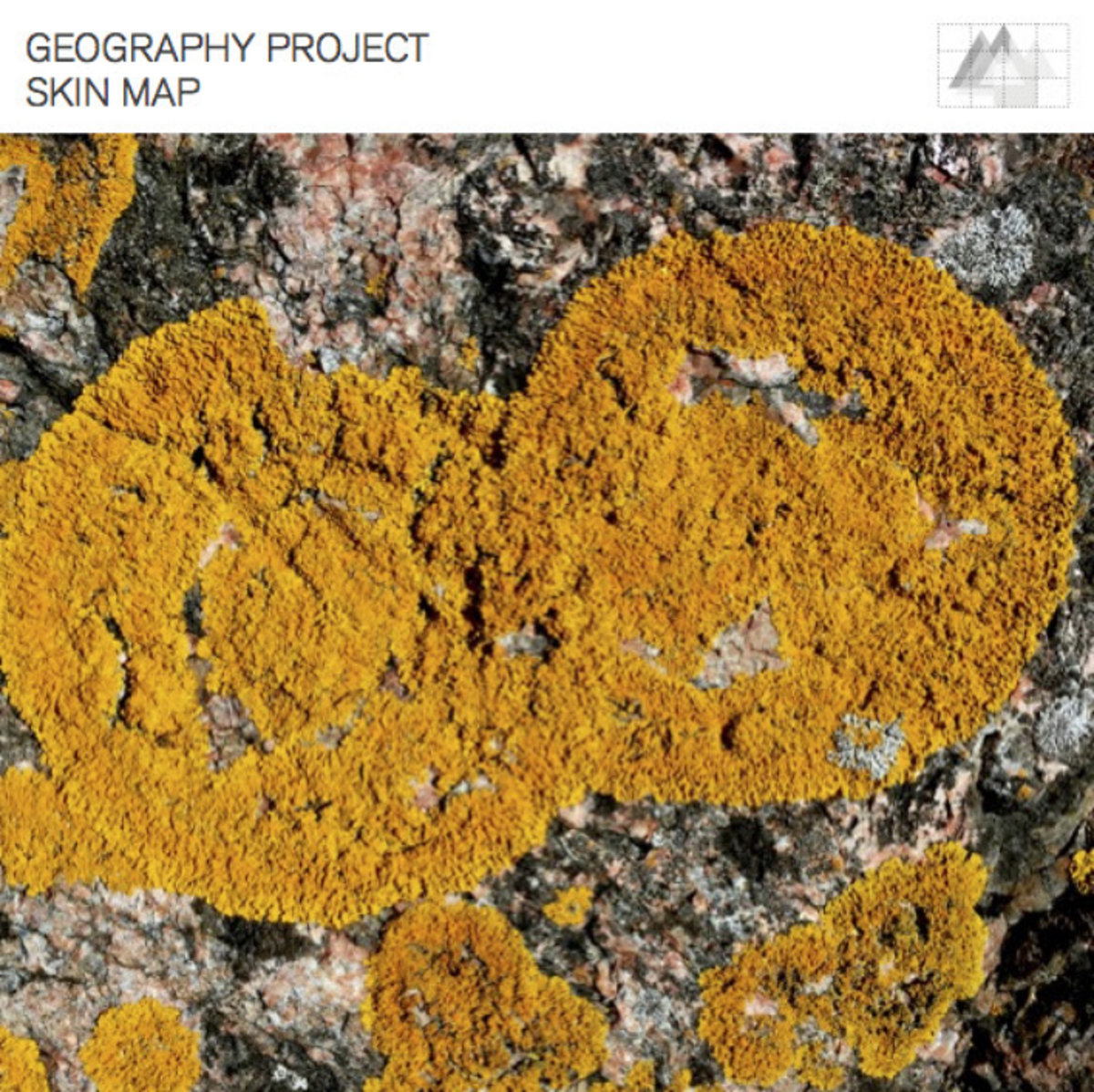 Skin Map | Geography Project