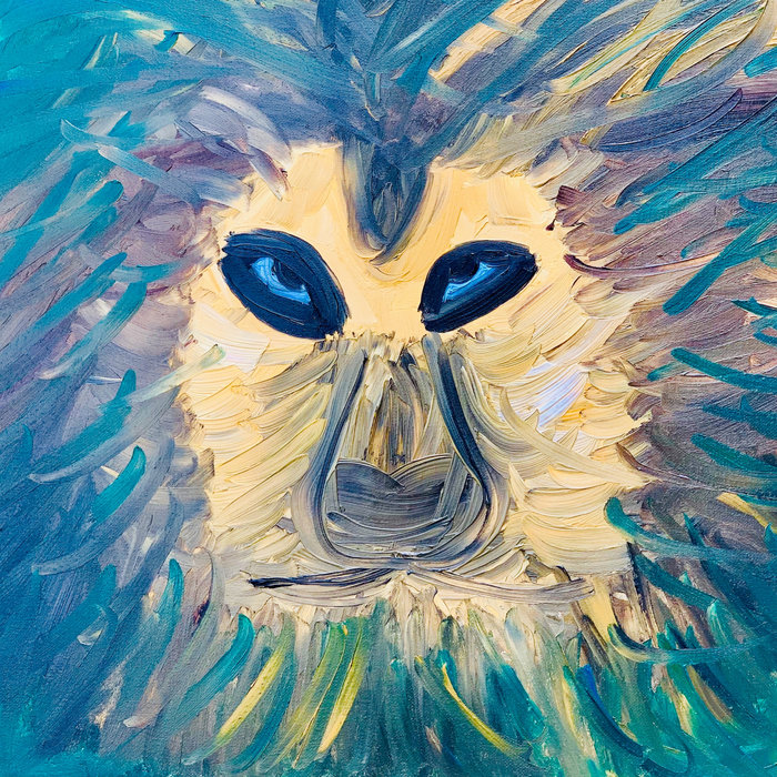 Infinite Lion (campfire version) | Mack Spellman