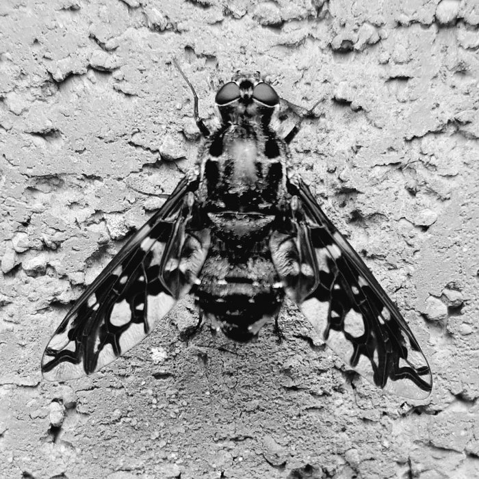 2022 Wave Demos | Paul Colosimo