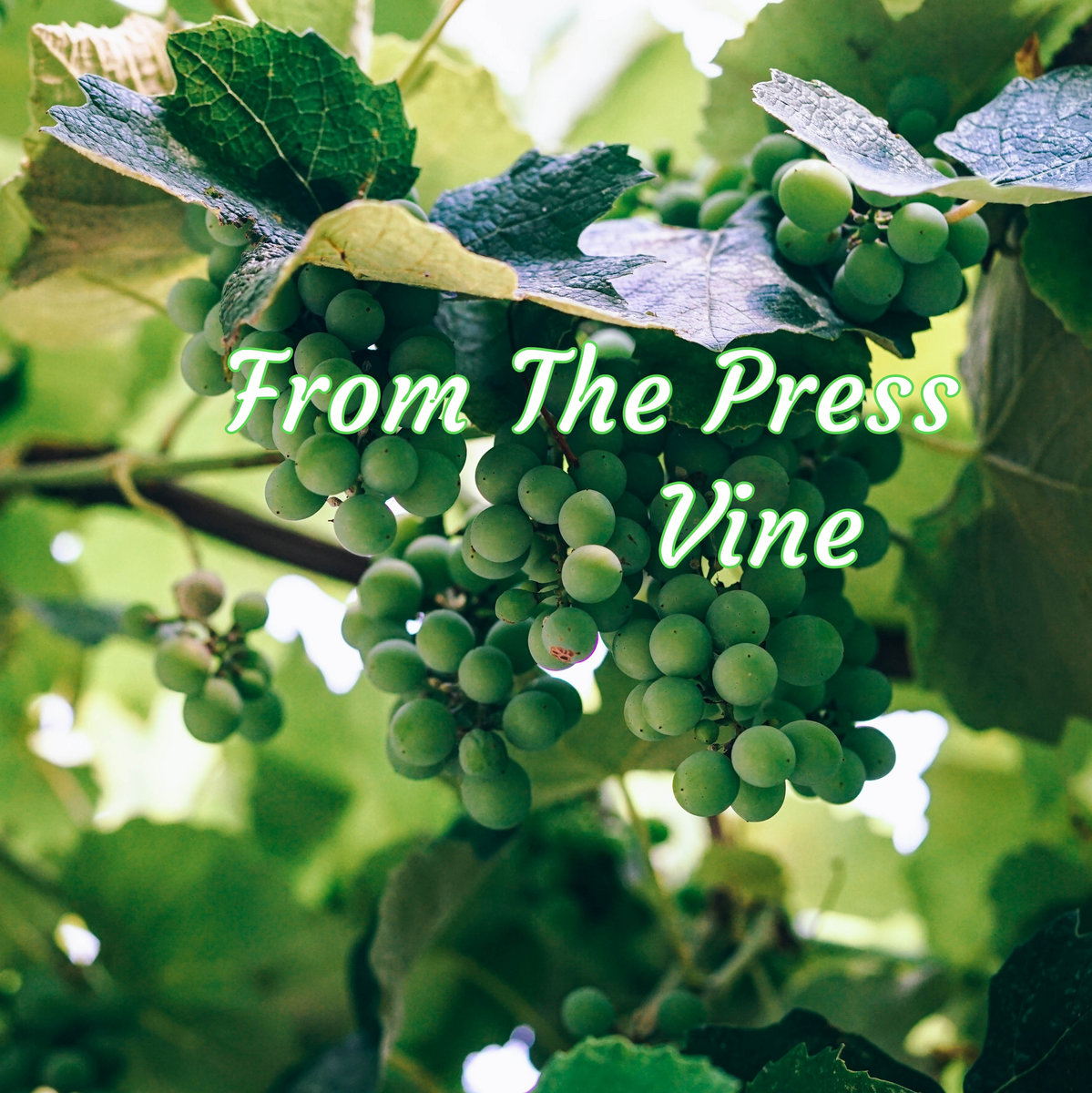 Mary's Song | Vine