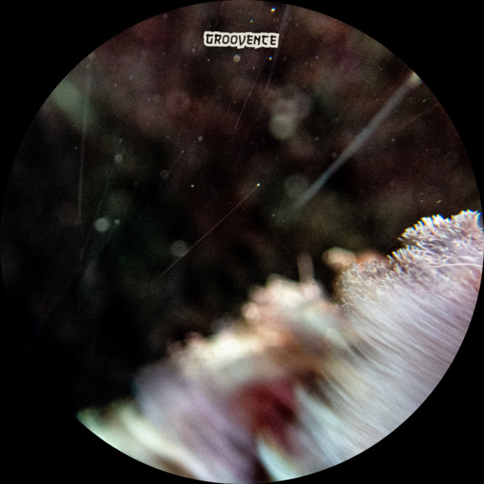 Armless Kid - La Méridienne 🌐 | Armless Kid | Groovence