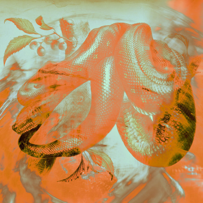 Crawl to Me - Single | Mohawk Castle