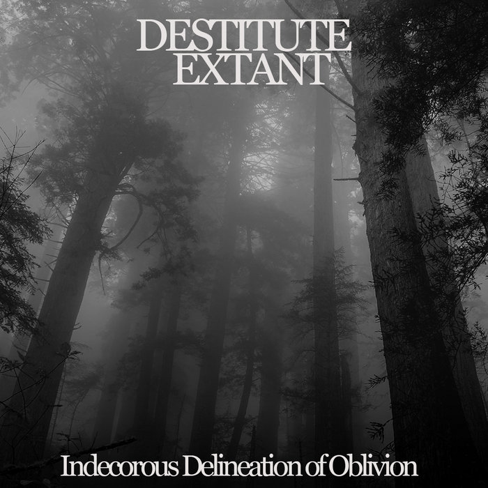 Indecorous Delineation of Oblivion | Destitute Extant