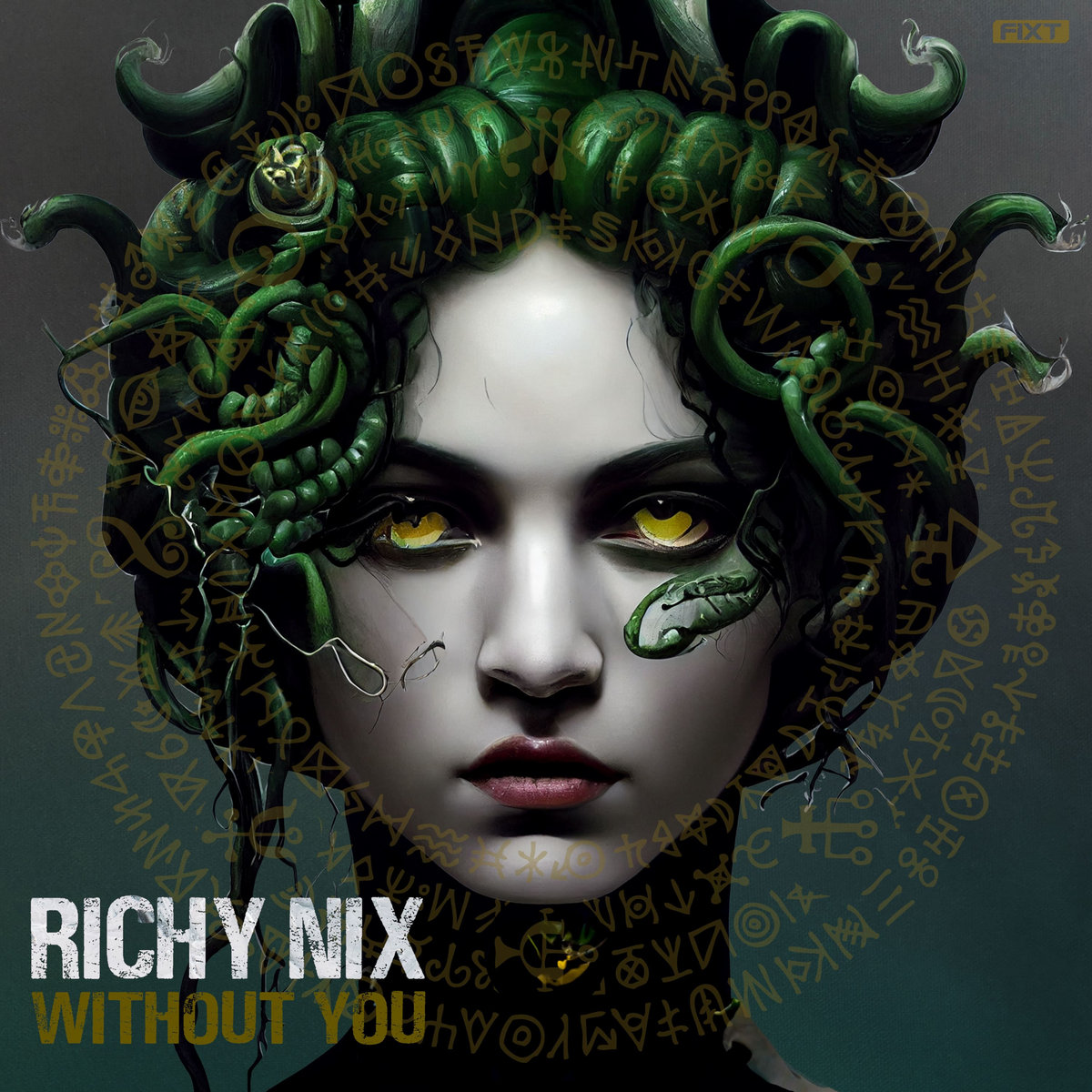 Without You (Single) | Richy Nix