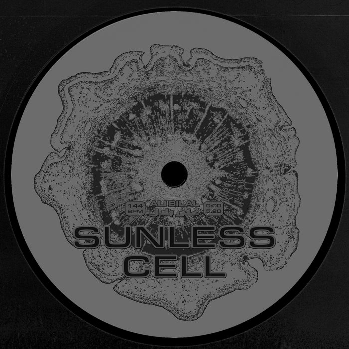 Sunless Cell | Ali Bilal