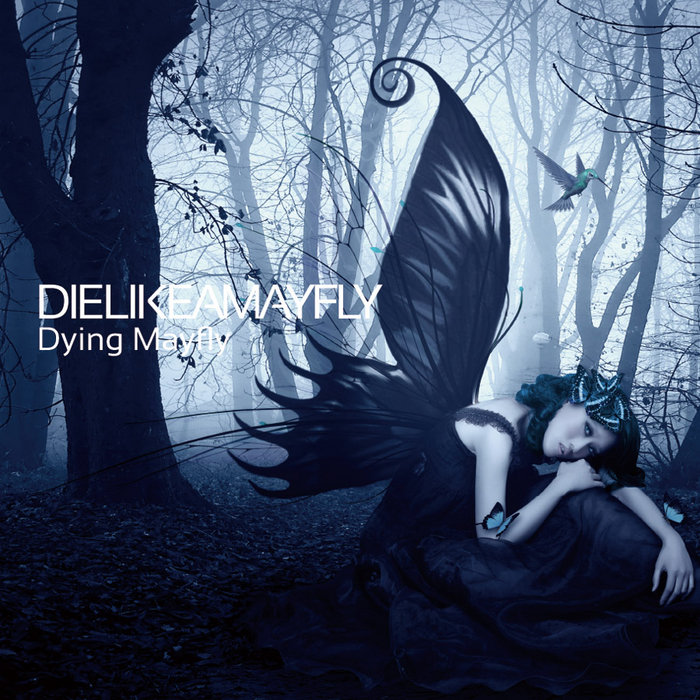 Dying Mayfly | Die Like A Mayfly