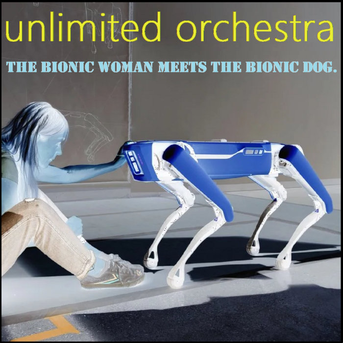 The Bionic Woman meets the Bionic Dog. | Unlimited Orchestra