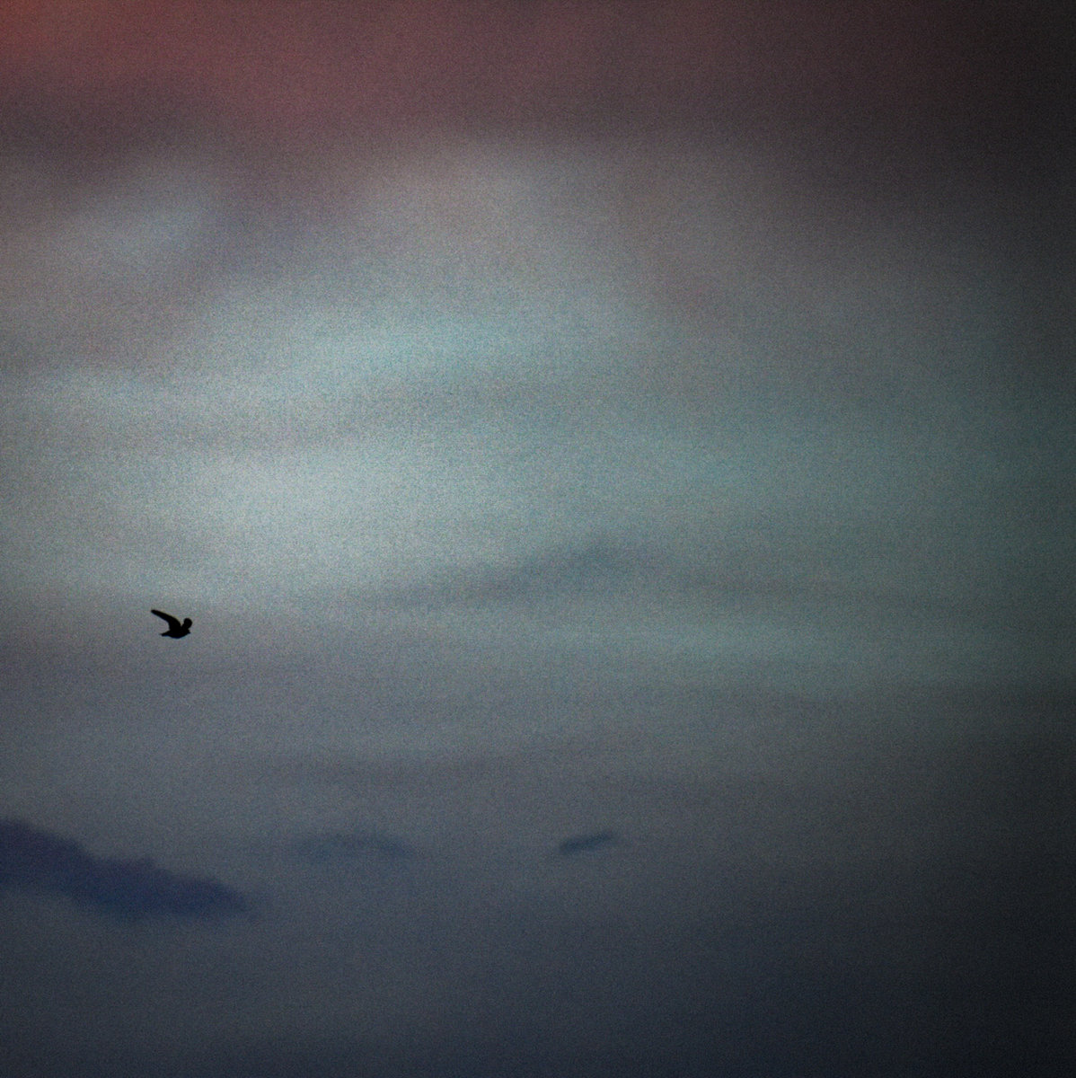 Flight Flaccid G
