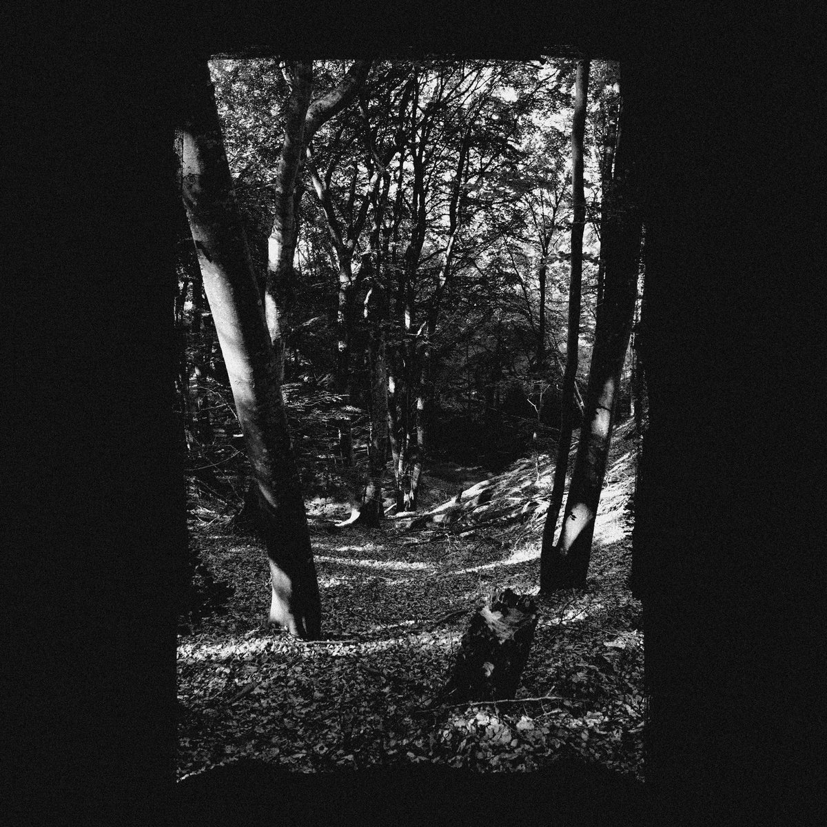 Instrumental Demo | Voices Of Darkness