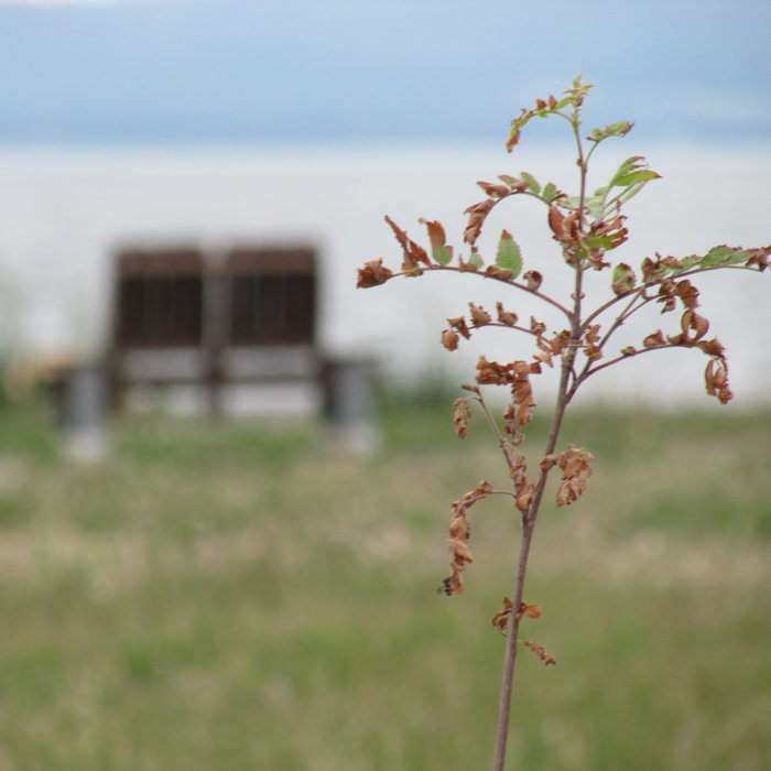 Perfect Flaws | Anma