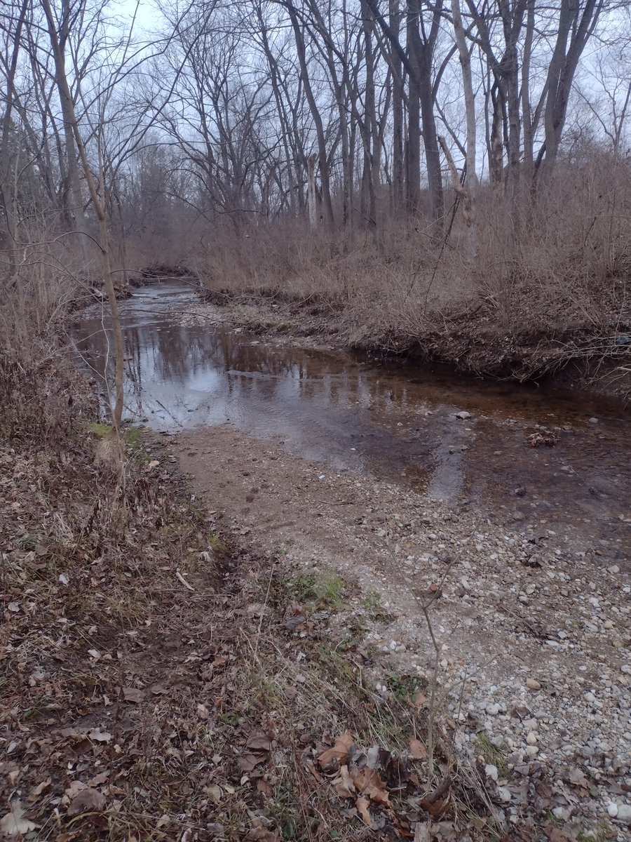 The Waters Saw Thee and Were Afraid | Greg Pacleb