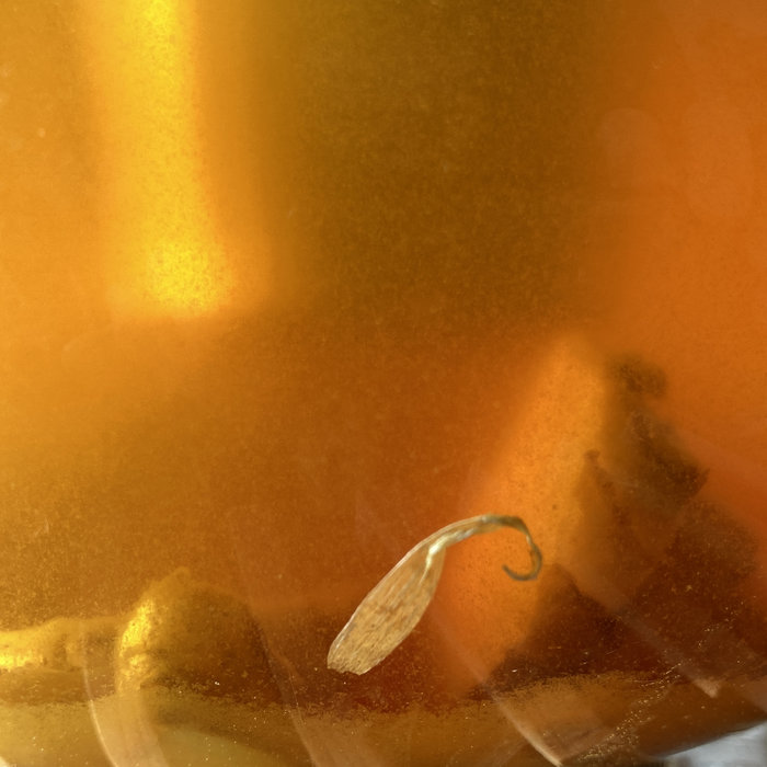 VUL13 | アイヌ [Ainu] | ZAMOTA RECORDS