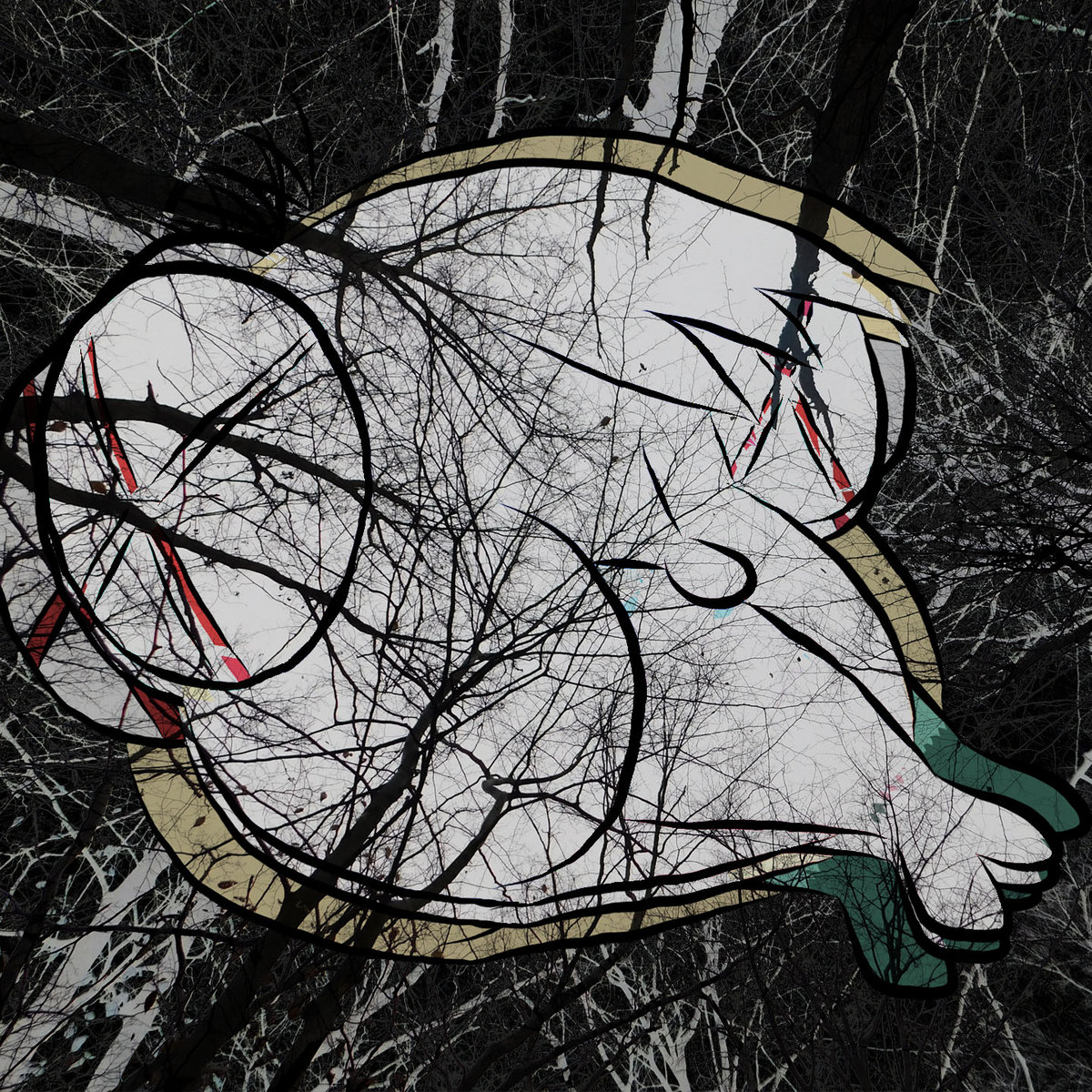 Fish Heads | Local Eyesore