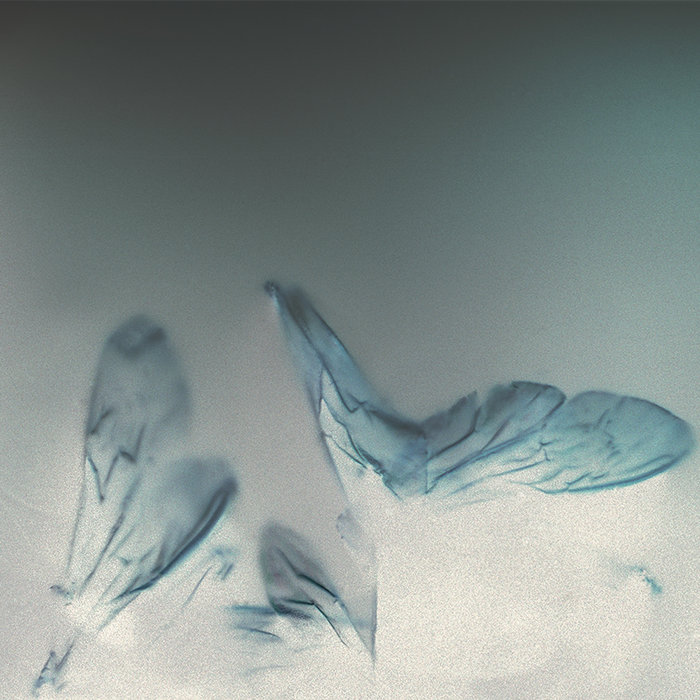 Requiem / Sam Hunt (ft. Simon O'Neill) | Victoria Kelly