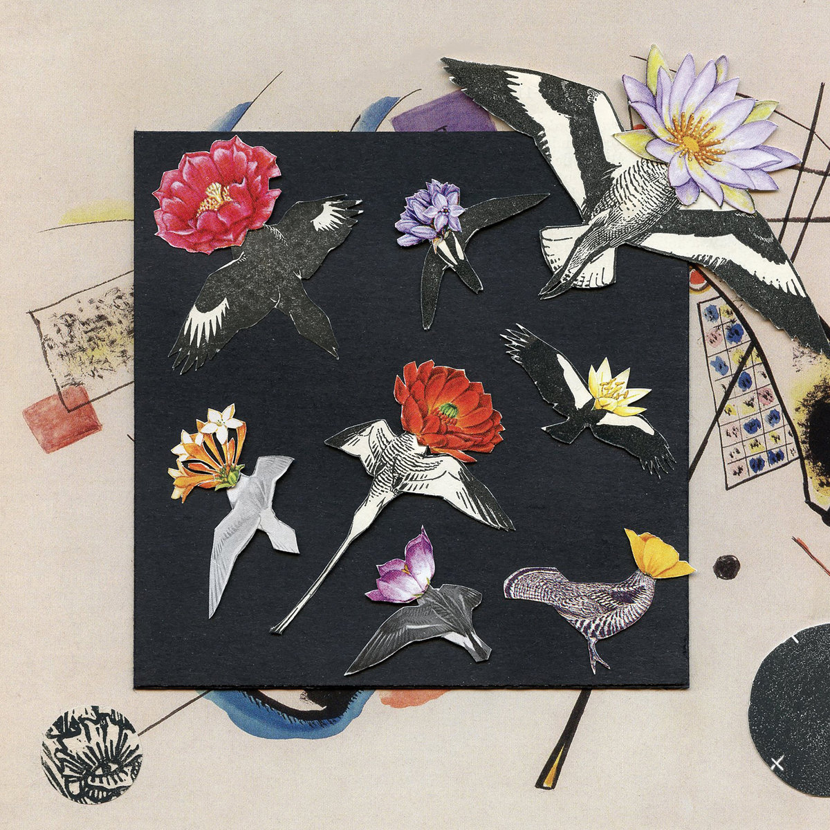 Alula: Captivity | Caroline Davis