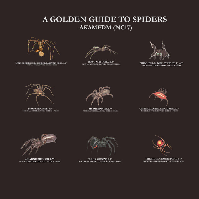 A GOLDEN GUIDE TO SPIDERS | AKAMFNC17 | Mother Russia Industries