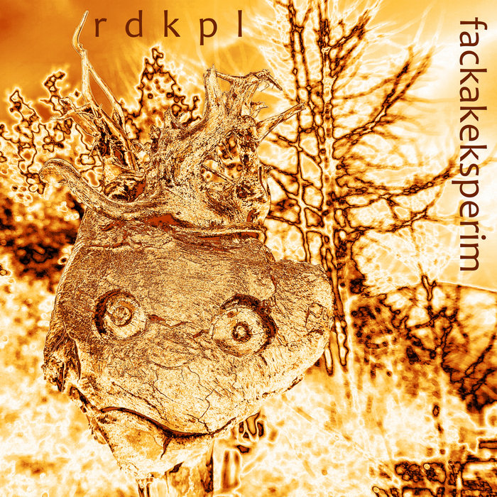 fackakeksperim | RDKPL | Imploding Sounds