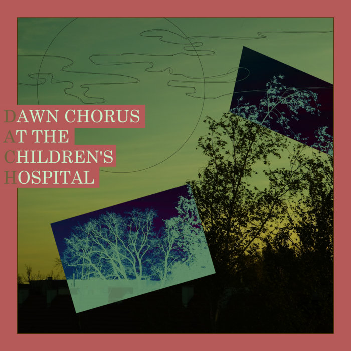 Dawn Chorus at the Children's Hospital | Łukasz Suchy | Suche Fakty