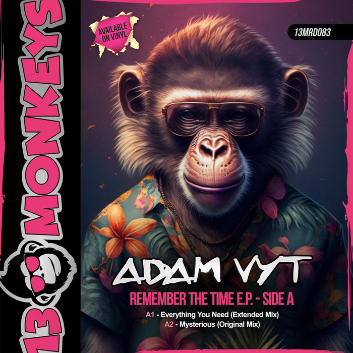 Remember The Time E.P. - Side A | Adam Vyt