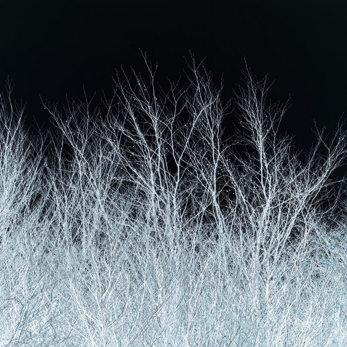 Winterheart | Alone in the Sky