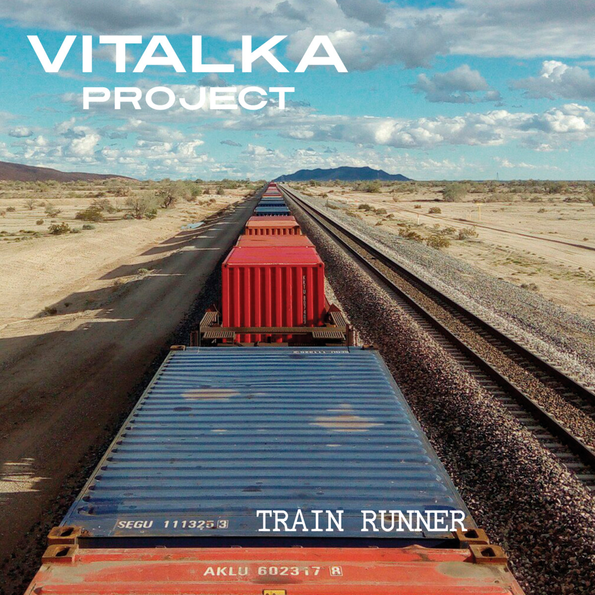 Train Runner | Vitalka Project