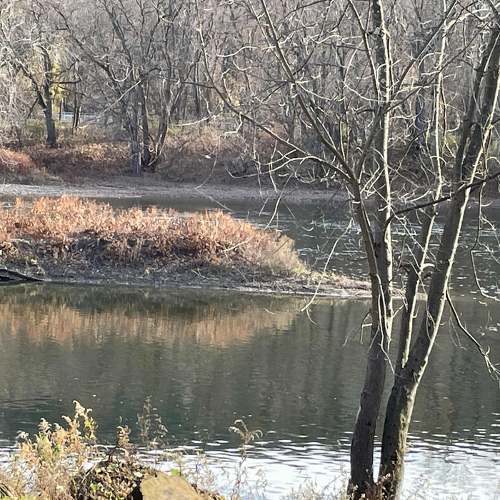 And we spoke back to them | LMC2