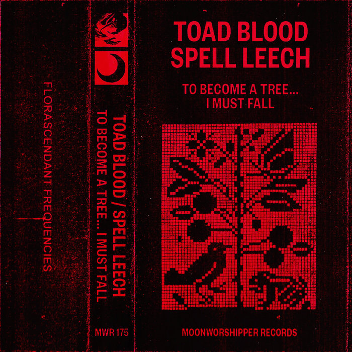 To Become a Tree... I Must Fall | Toad Blood
