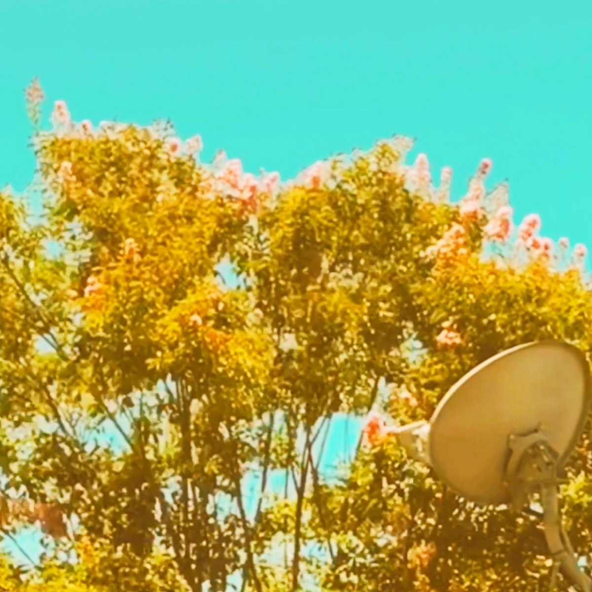 I Don't Know | sjowgren