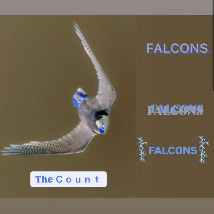 Falcons | The Count
